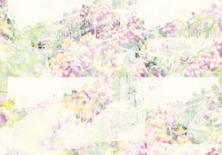 The High Caul Cap by Medbh McGuckian | World Literature Today