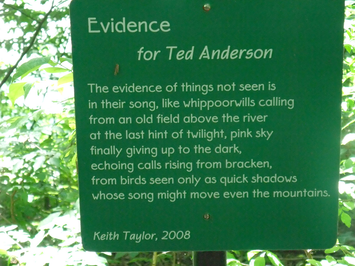 Poetry Trails: 28 Photos | World Literature Today